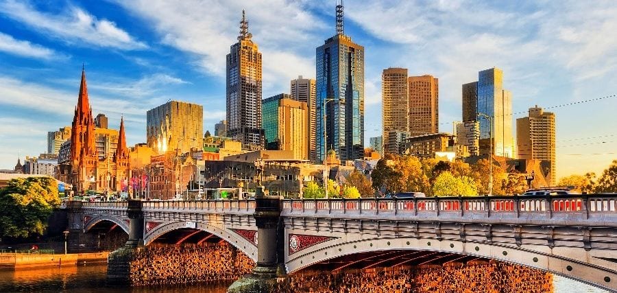 melbourne - Bradicus